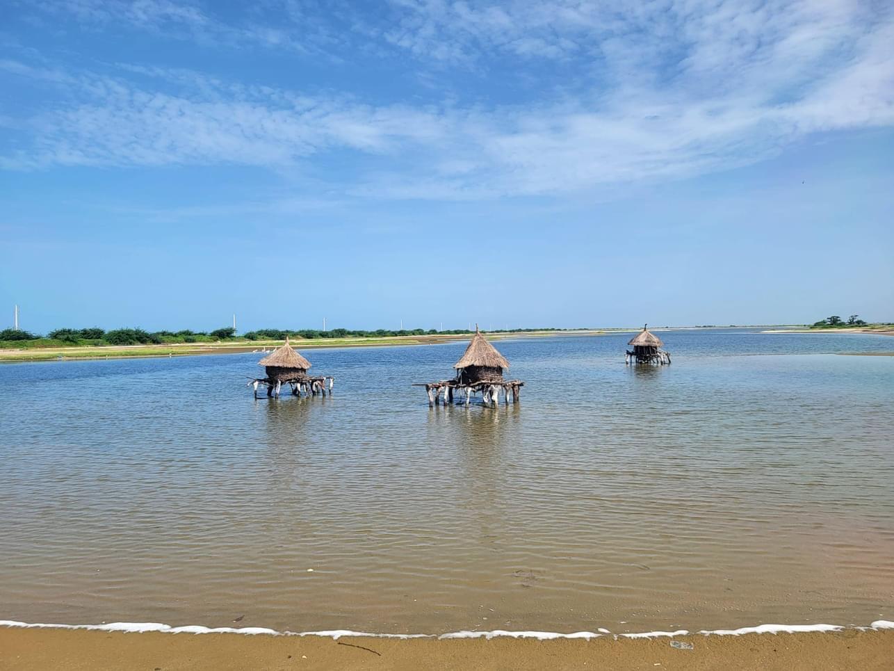 Îles du Saloum : Excursions Inoubliables au Sénégal - Sénégal Excursions